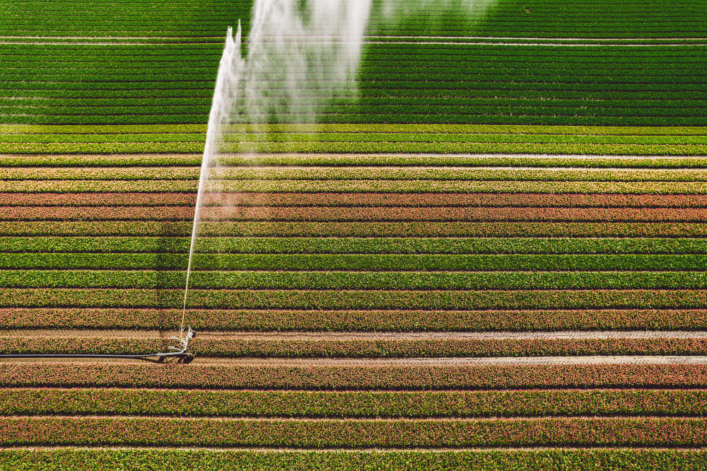 Irrigation System Work - sslandscape
